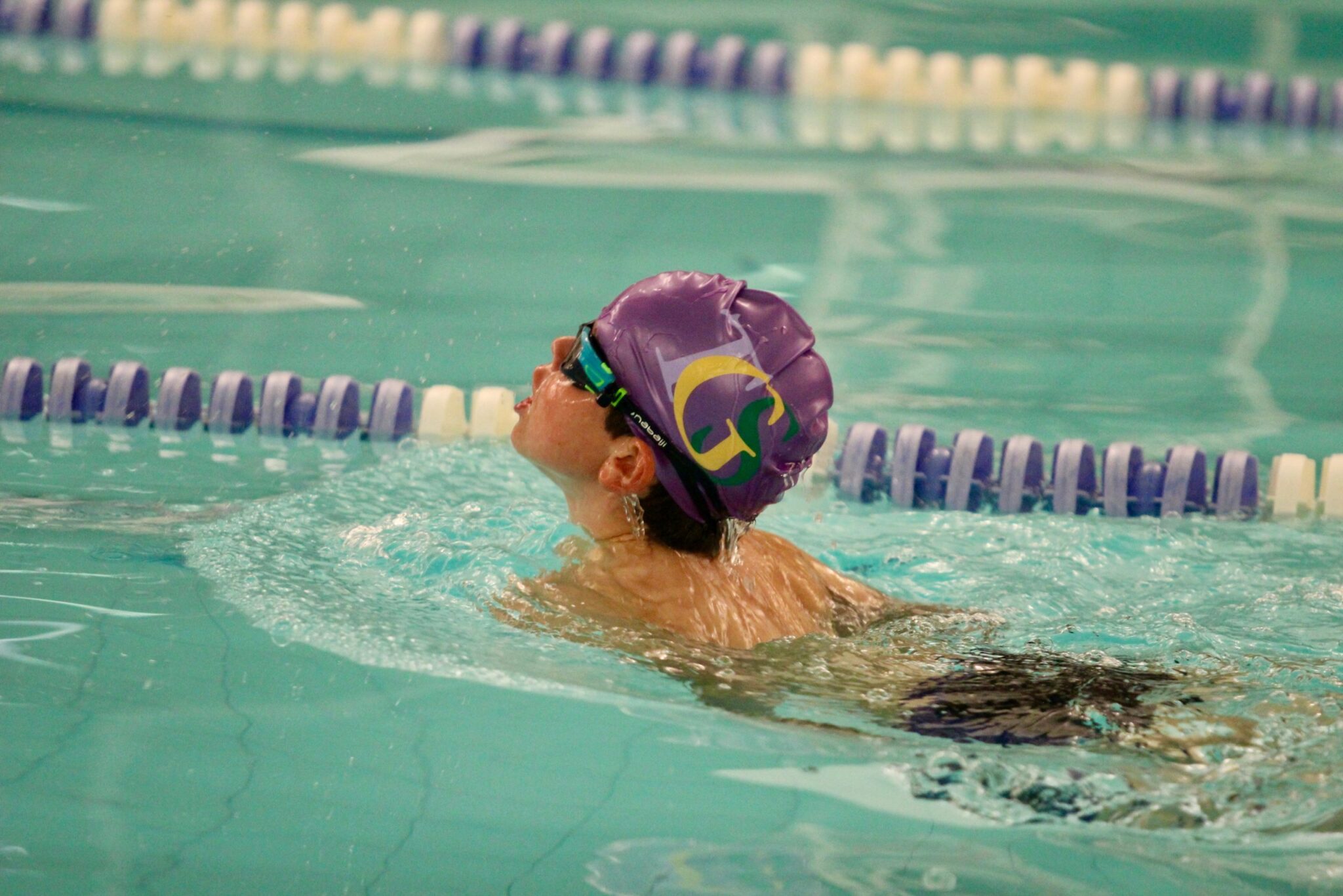 The Gower School | Primary School Curriculum