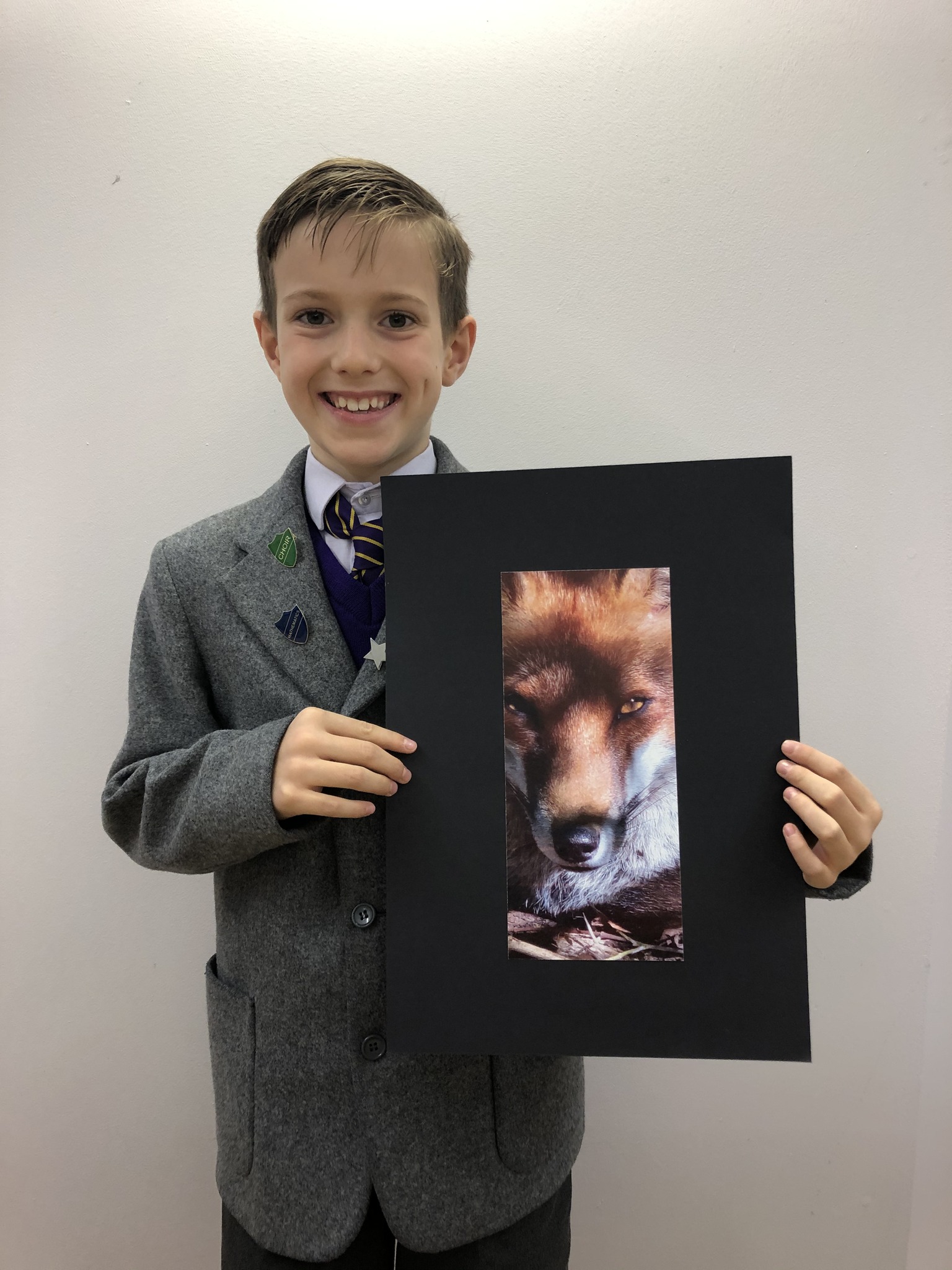 TGS wins seven prizes at ISA Art Competition – The Gower School