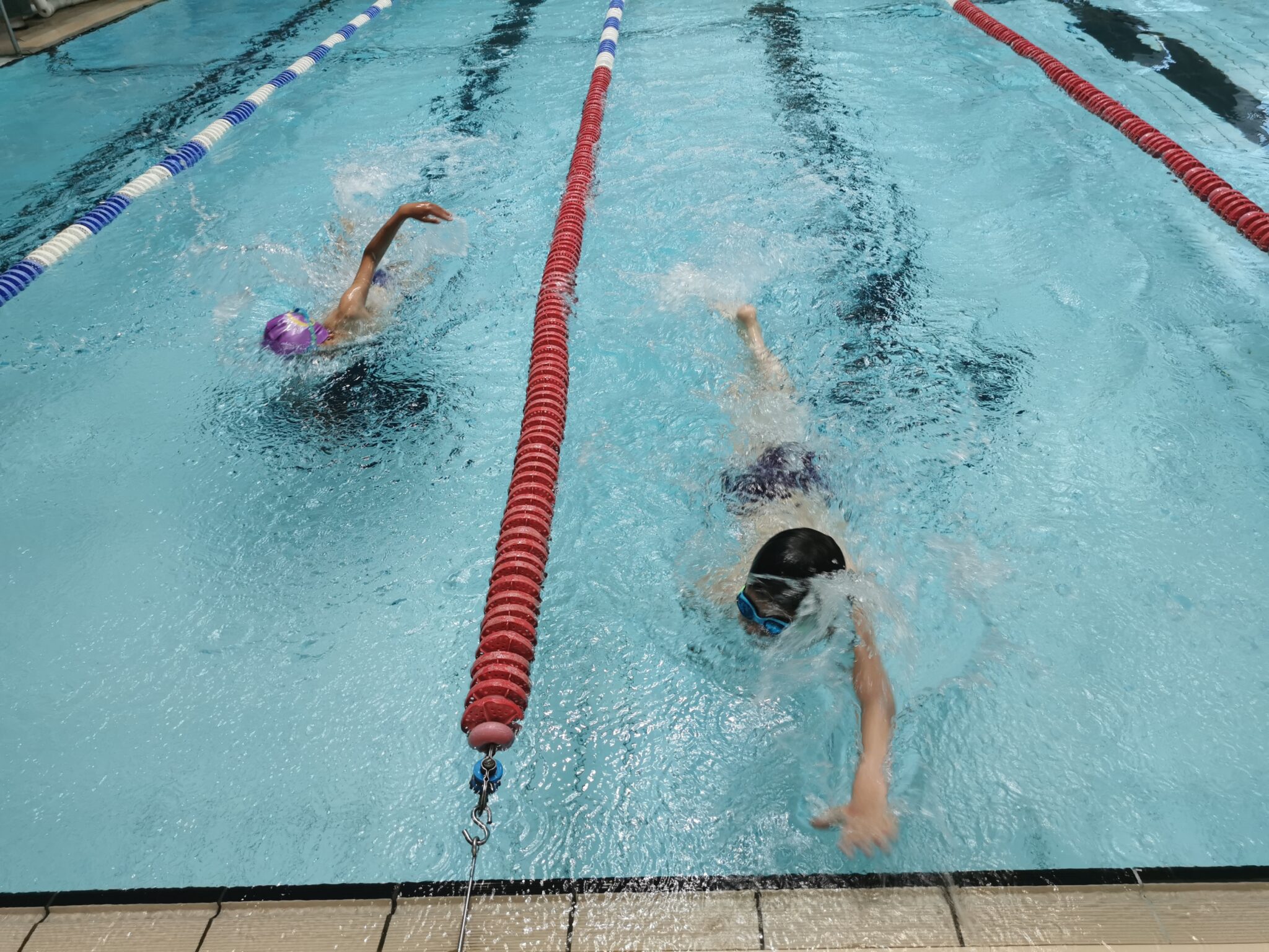 The Gower School | TGS Children Win 10 Medals in Regional Swimming Gala